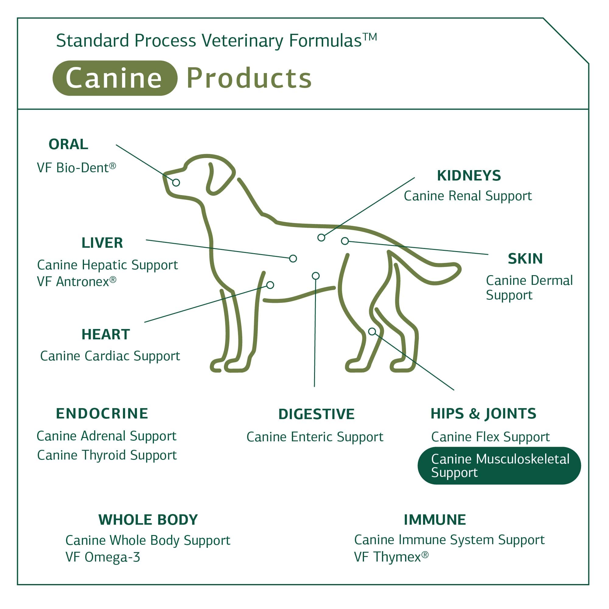 Standard Process Canine Musculoskeletal Support - Bone & Joint Health Formula for Pets - Canine Musculoskeletal Support Supplement - Supplement for Dogs to Aid Joint Comfort & Muscle Health - 30 g