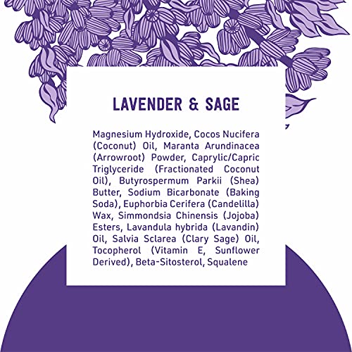 Schmidt's Aluminum-Free Vegan Deodorant Lavender & Sage with 24 Hour Odor Protection, 2 Count for Women and Men, Natural Ingredients, Cruelty-Free, 2.65 oz