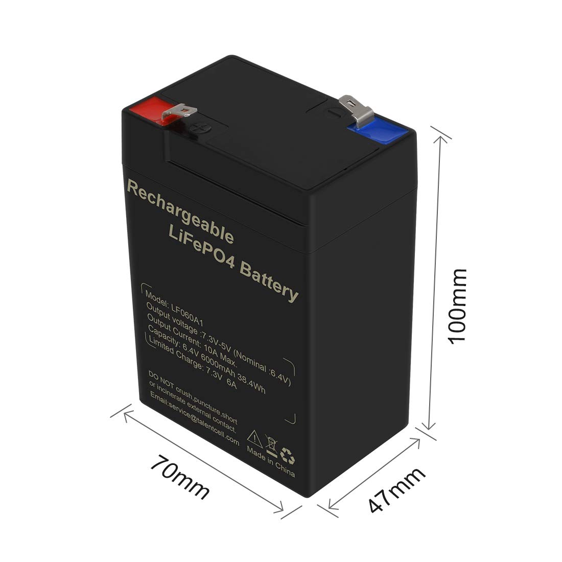 Talentcell 6V 6Ah LiFePO4 Battery Pack LF060A1, 2000 Cycles Rechargeable Lithium Iron Phosphate Battery with Charger