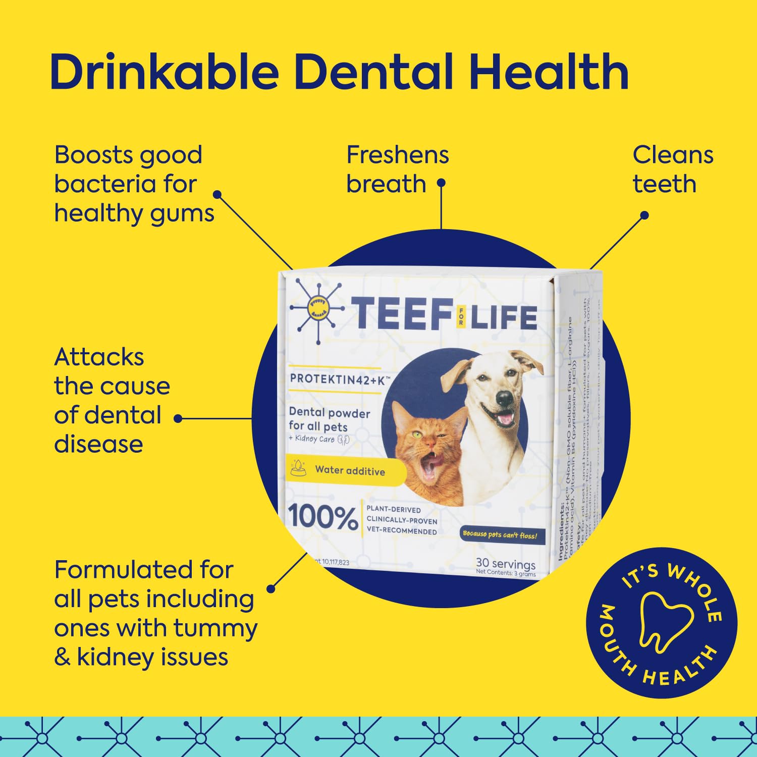 TEEF! Refill Powder Packet - Protektin42+K (30 Servings) for Life