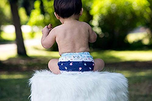 GroVia Newborn All in One Snap Reusable Cloth Diaper (AIO) (Petal)