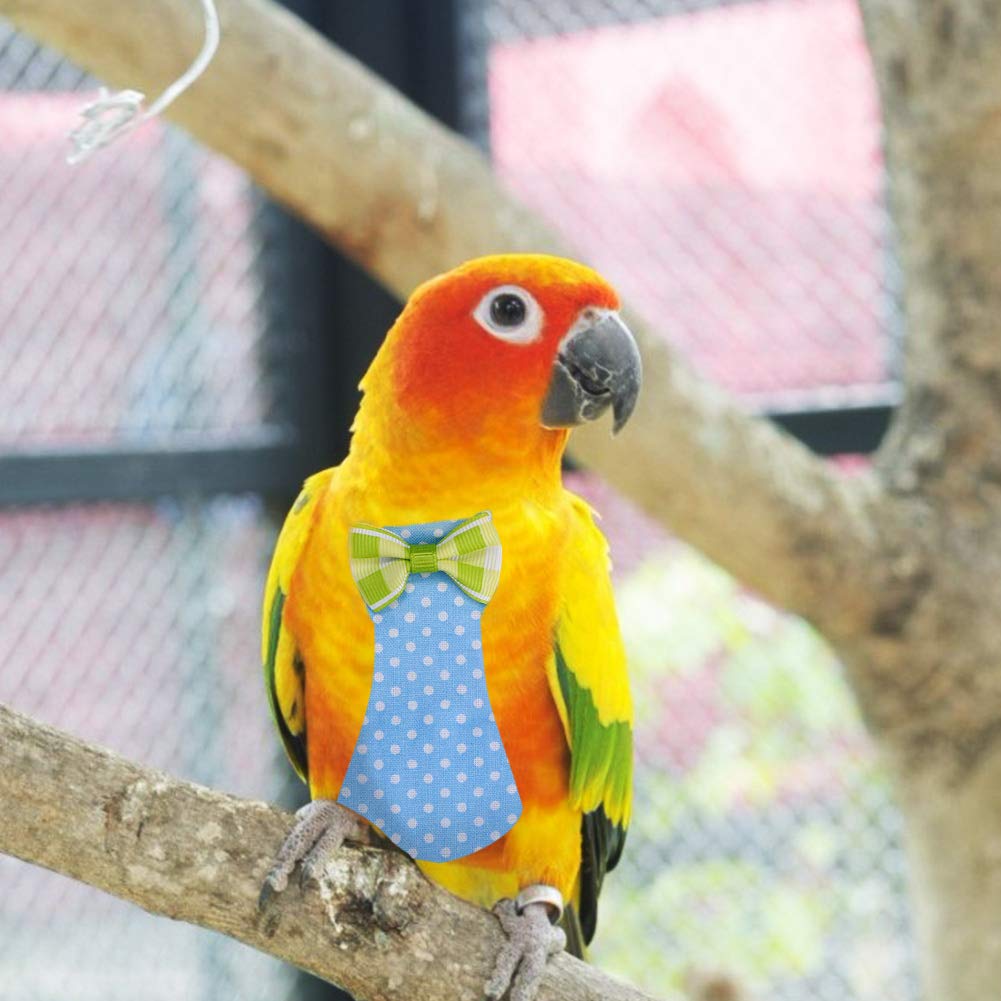 Leftwei Romantic Valentine's Day Diaper Birds Nappy, Parrot Diaper, Nappy, Pet Bird Clothes, Flying Bowknot Costume, for Household(Blue, S Code)