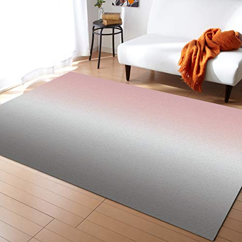 Area Rug Door Mat Gray and Pink Gradient Indoor Floor Carpet for Living Room Bedroom Home Decor Modern Contemporary Rug