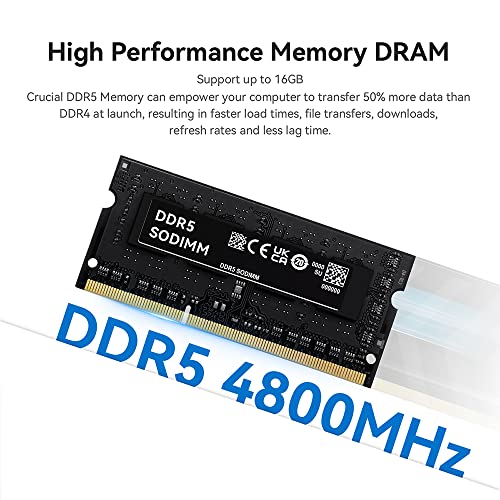 Beelink Dual 2.5GbE Network- Triple 4K Displays- 16GB DDR5 Mini PC, Intel 12th Core i3 N305 EQ12 Pro Support AV1 deconding, 500GB PCIex1 SSD, WIFI6, BT5.2, Office, Openwrt Mini Computers Grey
