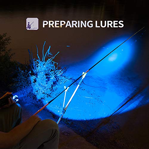 NEXTORCH 405nm uv Light UV Led Blacklight Flashlights Detector Ultraviolet Pocket-Size LED Torch for Pets Urine and Stains Find Stains on Carpet, Rugs 3D Printed Resin C2UV (405nm UV)