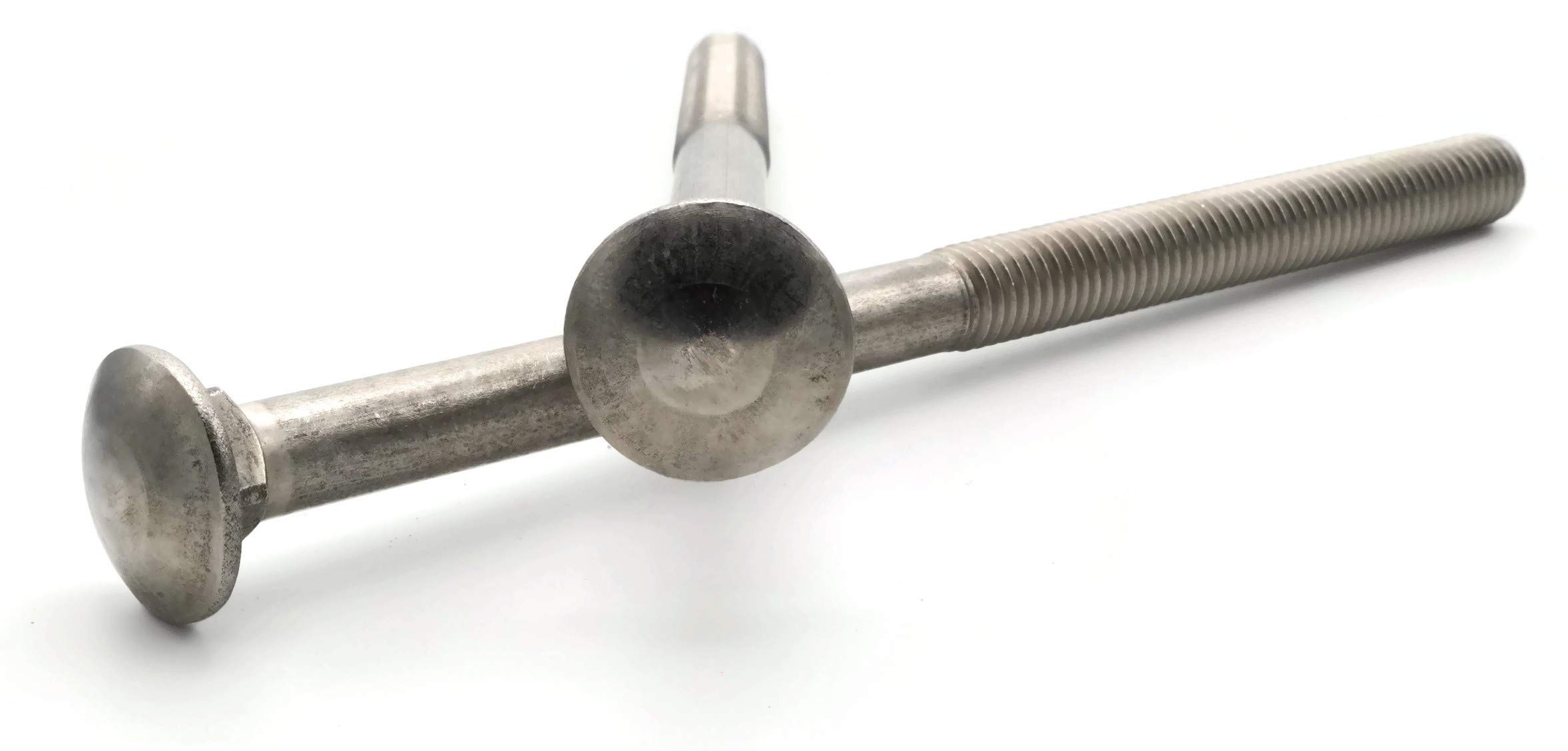 Carriage Bolt 18-8 Stainless Steel 1/2"-13 x 18 Qty-25