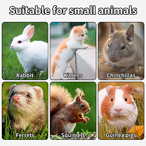 BNOSDM Rabbit Automatic Food Feeder and Water Dispenser Bunny Gravity Feeding Station Waterer Set Hanging Self-Dispensing Feeder for Ferret,Guinea Pigs Chinchillas Kitten (Blue)