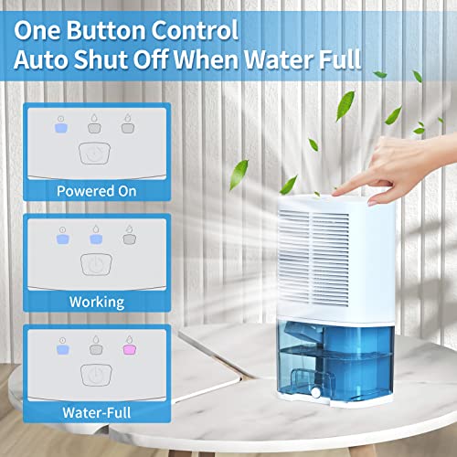 68oz 7900 Cubic Feet(810 Sq.ft)Dehumidifiers for Home Bathroom Room Basements,Quiet Dehumidifier With Drain Hose & Auto Shut Off, Portable Small Dehumidifiers for Bedroom Closet RV