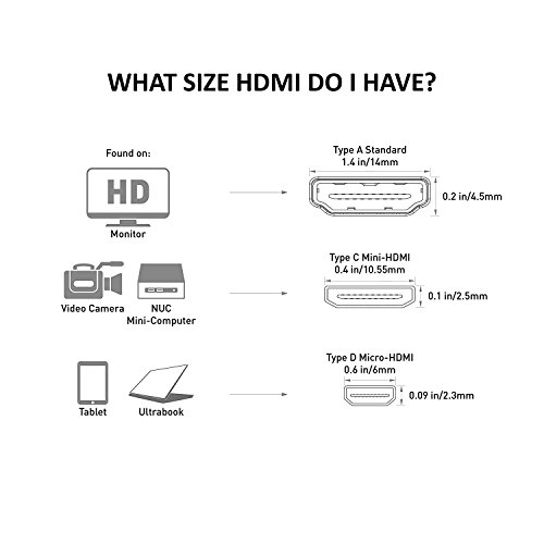 Cable Matters 2-Pack Mini HDMI to HDMI Adapter (HDMI to Mini HDMI Adapter) 6 Inches with 4K and HDR Support for Raspberry Pi Zero and More