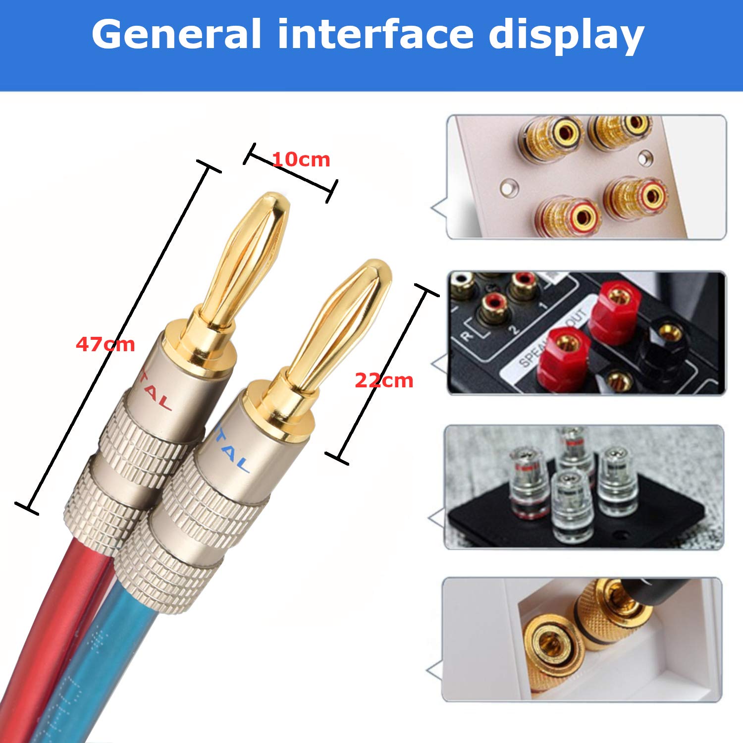 AutCreation Speaker Cable Wire with Banana Plugs,12AWG HiFi Pure Copper Speaker Cable Wire,99.9% OFC Copper,Gold-Plated Banana Tip Plugs,Red/Blue (3M(9.8ft))