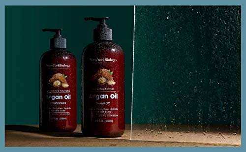 New York Biology Moroccan Argan Oil Conditioner - All Natural - Moisturizing and Volumizing Professional Series Restorative Formula - Infused with Keratin and Sulfate Free - 16.9 fl Oz