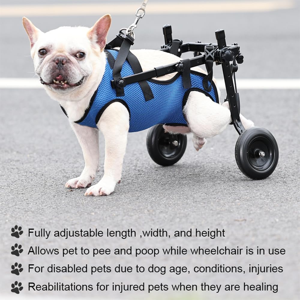Adjustable Small Dog Wheelchair - Mobility Aid for Disabled Pets,Small Dog Wheelchair for Back Legs, Leg Brace & Hip Support (Middle)
