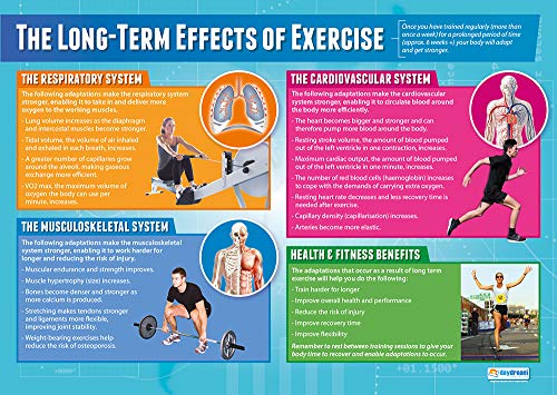 Daydream Education The Long-Term Effects of Exercise | PE Posters | Gloss Paper measuring 33” x 23.5” | Physical Education Charts for the Classroom | Education Charts