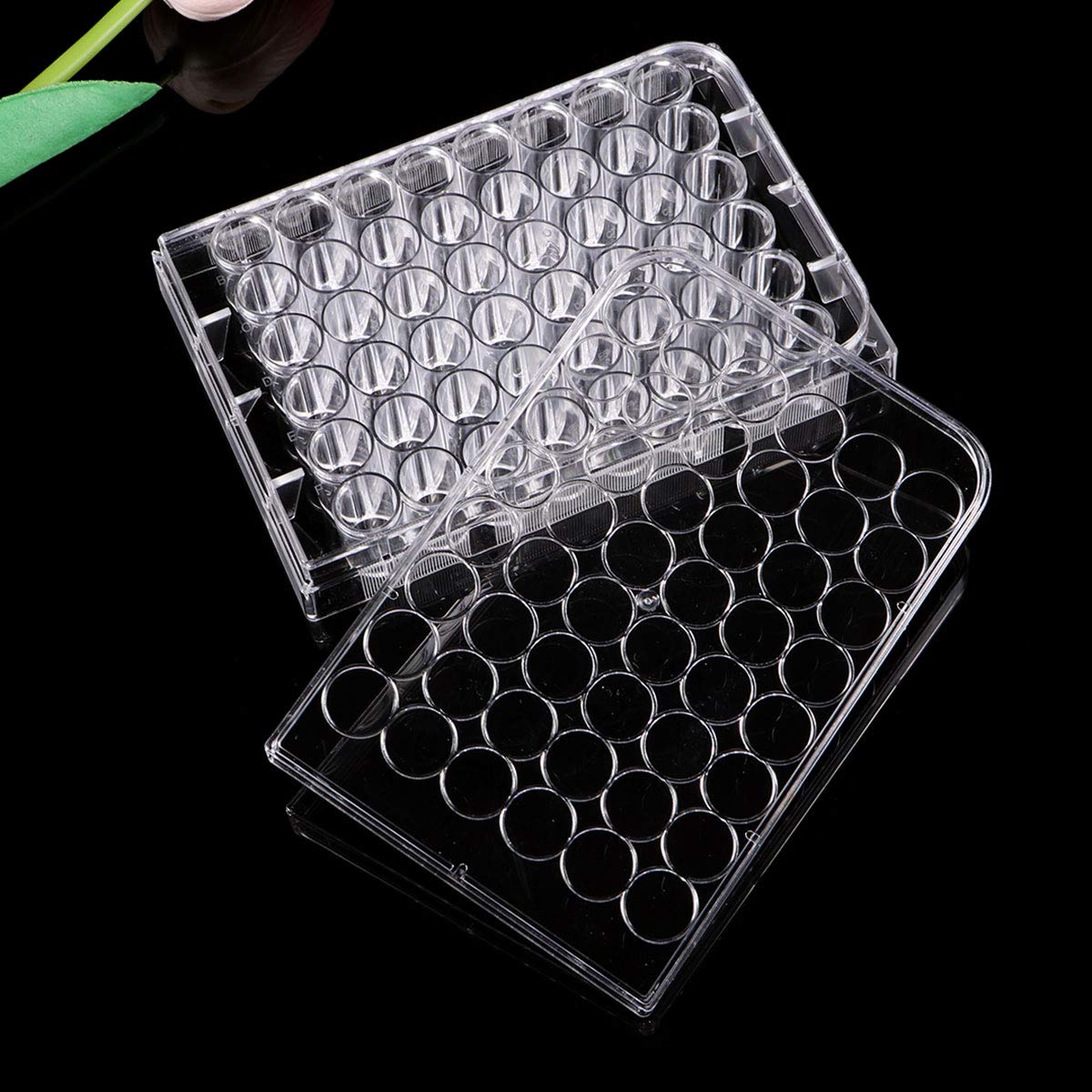 UKCOCO Plastic Premium Culture Plate 48 Well Cell Culture Plate for Lab