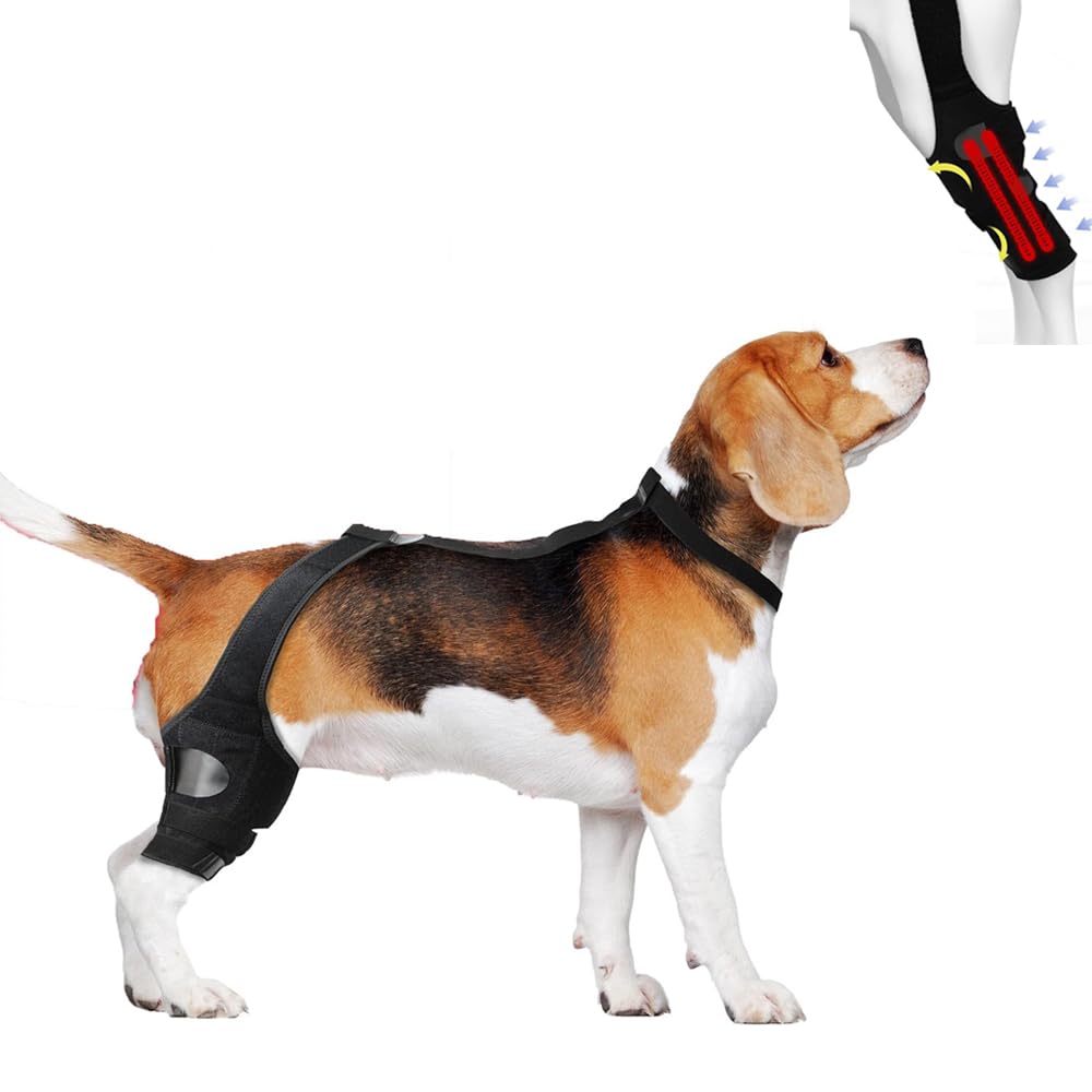 Premium Dog ACL Knee Brace for Torn ACL Hind Leg Support - Cruciate Care & Recovery, Adjustable Leg Braces for Back Leg, Hip Support - Small, Medium, Large Sizes with Extra Stabilizers (Black, M)
