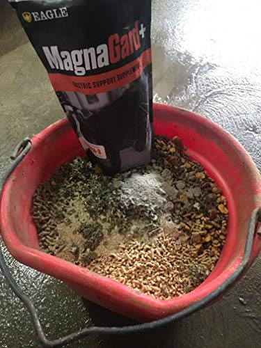 MagnaGard Plus- Gastric Support Supplement for Horses with Omega 3s | Relieves Ulcers, Calming Supplement, Magnesium & Other Vital Minerals | Powder, 20lb Bucket, 5-Month Supply | by Eagle Equine