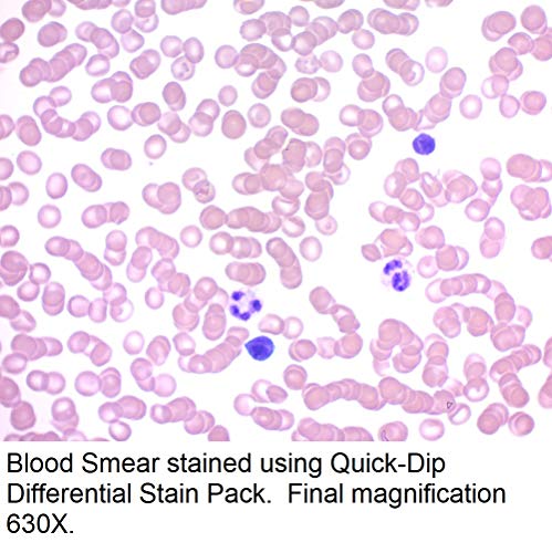 Quick-Dip Differential Stain Pack, 500ml
