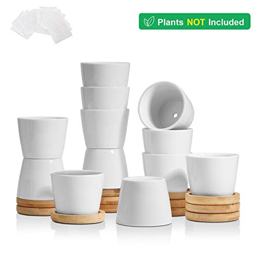 T4U 2.5 Inch Small White Succulent Planter Pots with Bamboo Tray Round Set of 12, Ceramic Succulent Air Plant Flower Pots Cactus Faux Plants Containers, White Modern Decor for Home and Office