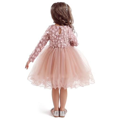 TTYAOVO Girls Longsleeve Lace 3D Flowers Tulle Layered Princess Party Dresses Size(140) 5-6 Years Dusty Pink