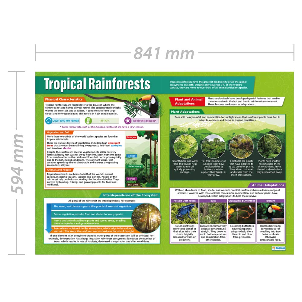 Daydream Education Tropical Rainforests | Geography Posters | Laminated Gloss Paper measuring 33” x 23.5” | Geography Classroom Posters | Education Charts