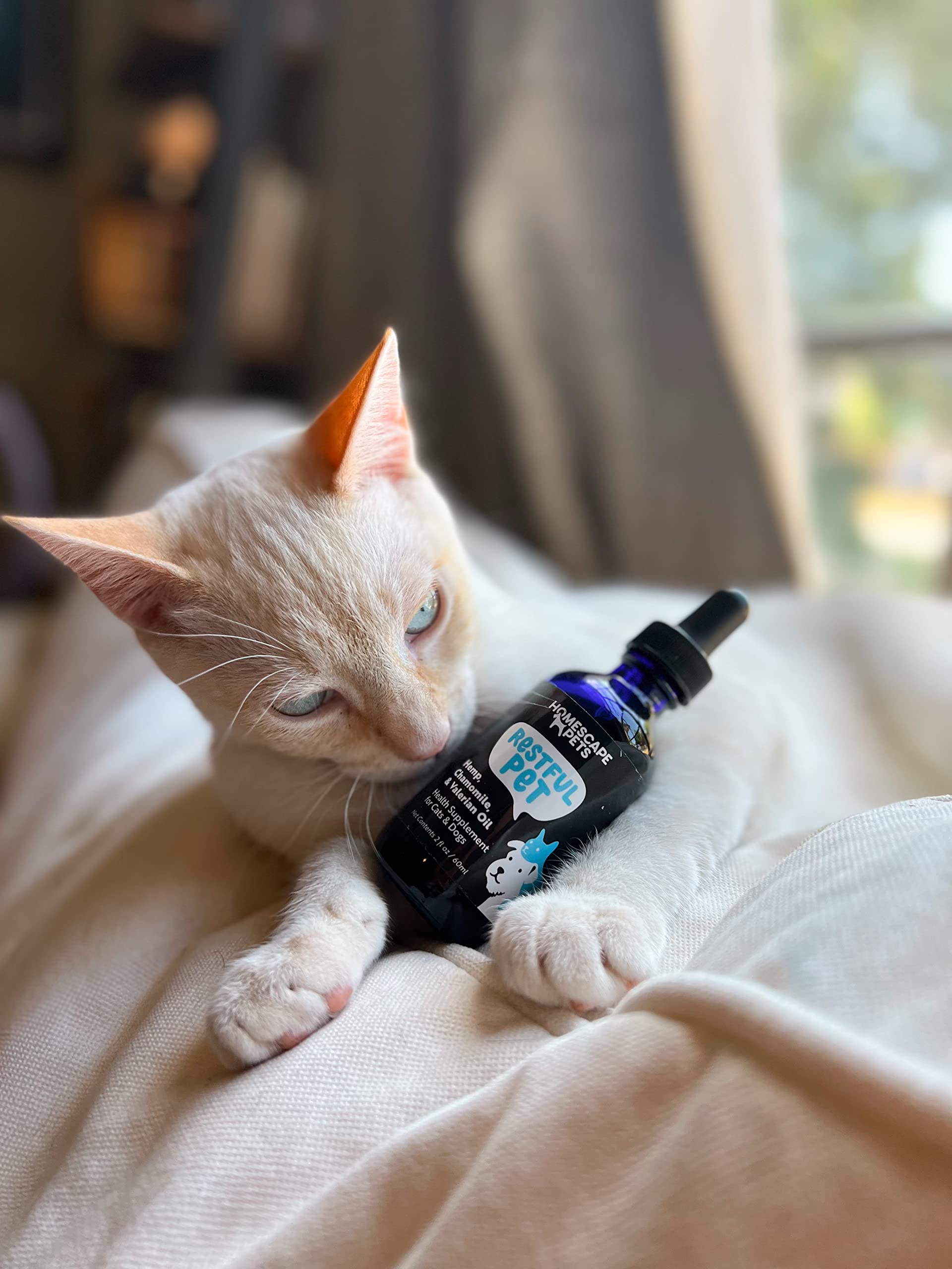 Homescape Pets Bundle Daily Thrive + RESTFUL PET: Improve Energy, Immune Health, and Aches + Help Reduce Anxiety and Stress - Supplements for Dogs and Cats