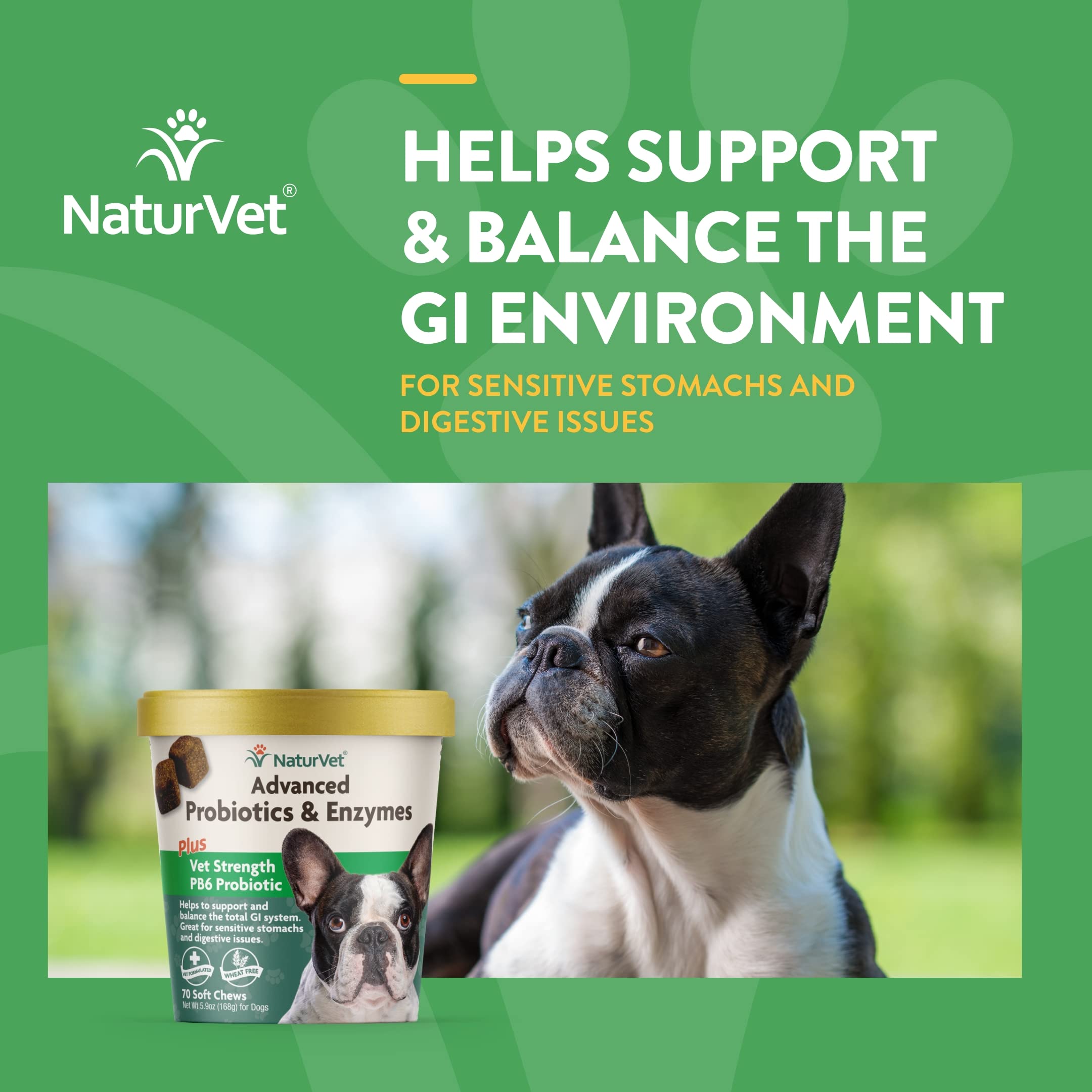 NaturVet β Advanced Probiotics & Enzymes β Supports and Balances Pets with Sensitive Stomachs β 240 ct & All-in-One Dog Supplement - for Joint Support, Digestion, Skin, Coat Care β 240 Soft Chews