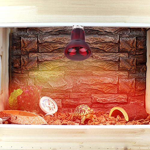 MD Lighting Pet Supplies 100w Infrared Heating Lamp 2 Pack, 110v E27 Basking Spot Light Bulbs for Reptile and Amphibian, as Bearded Dragons, Turtles, Ball Pythons, Red