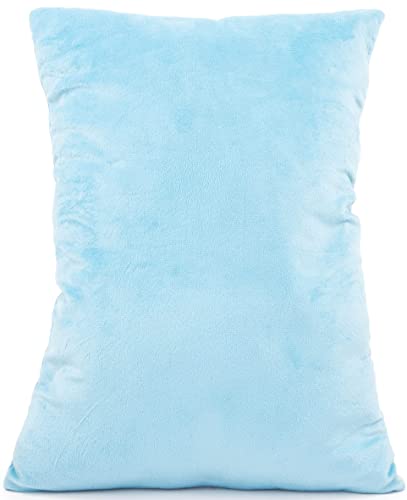 Bluey Snuggle Pillow - Super Soft Plush Decorative Throw Pillow - Measures 15 Inches (Official Bluey Product)