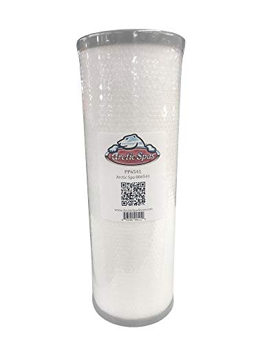 Arctic Spa Silver Sentinel Threaded Filter - 2009-current Models