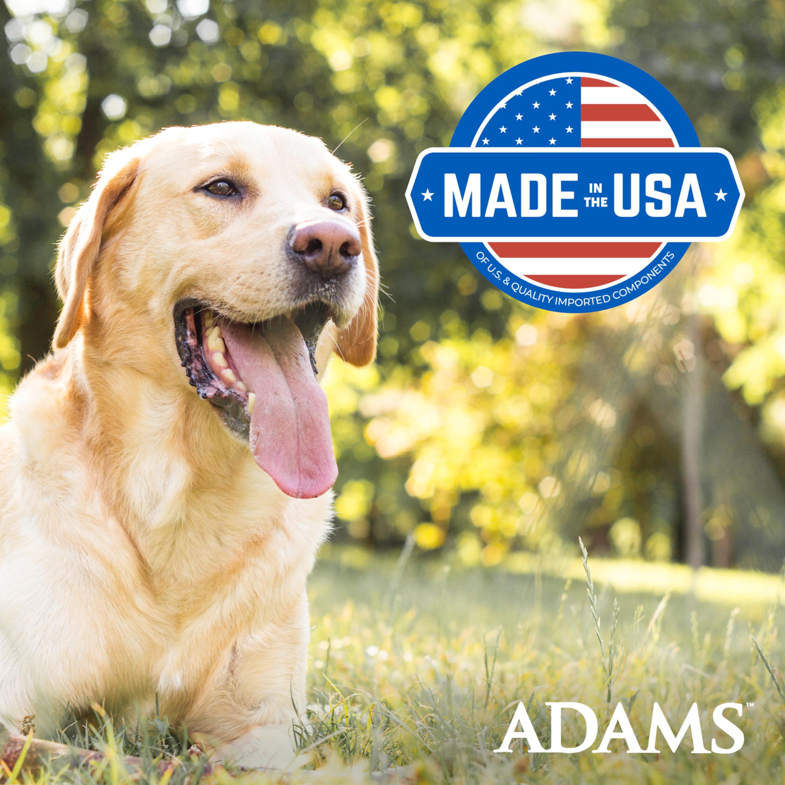Adams Plus Flea & Tick Collar for Cats | Breakaway Collar | 1 White Collar | 7- Month Protection | Kills & Repels Fleas, Flea Eggs, Flea Larvae and Kills Ticks, Tick Nymphs, and Tick Larvae