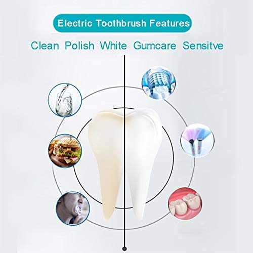 RED-NI RED-NI Sonic Electric Toothbrush, 4 Free Replacement Heads Included as Gifts Ideal for Adult Children and Couples Use USB Fast Charging Waterproof Toothbrush,Model: ET201 (Blue)