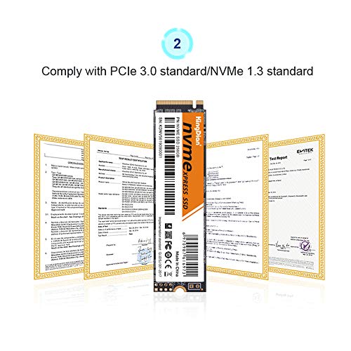 KingDian 120GB 240GB 256GB PCIe NVMe M.2 2280 Internal SSD High Performance Solid State Drive (NVME 256GB)