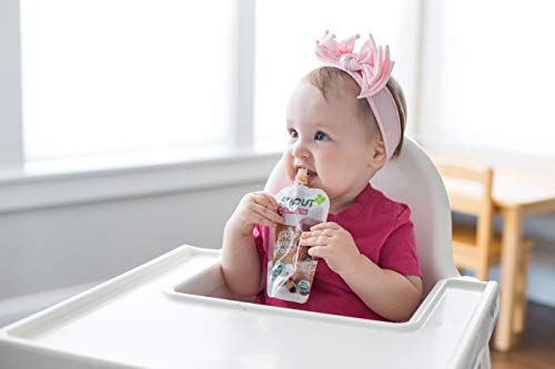 Sprout Organic Stage 2 Baby Food Pouches, Apple Oatmeal Raisin with Cinnamon, 3.5 Ounce (Pack of 6)