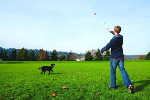 Chuckit! Pro 25M Dog Ball Launcher, 25" Length, Includes Medium Ball (2.5") For Dogs 20-60 Pounds