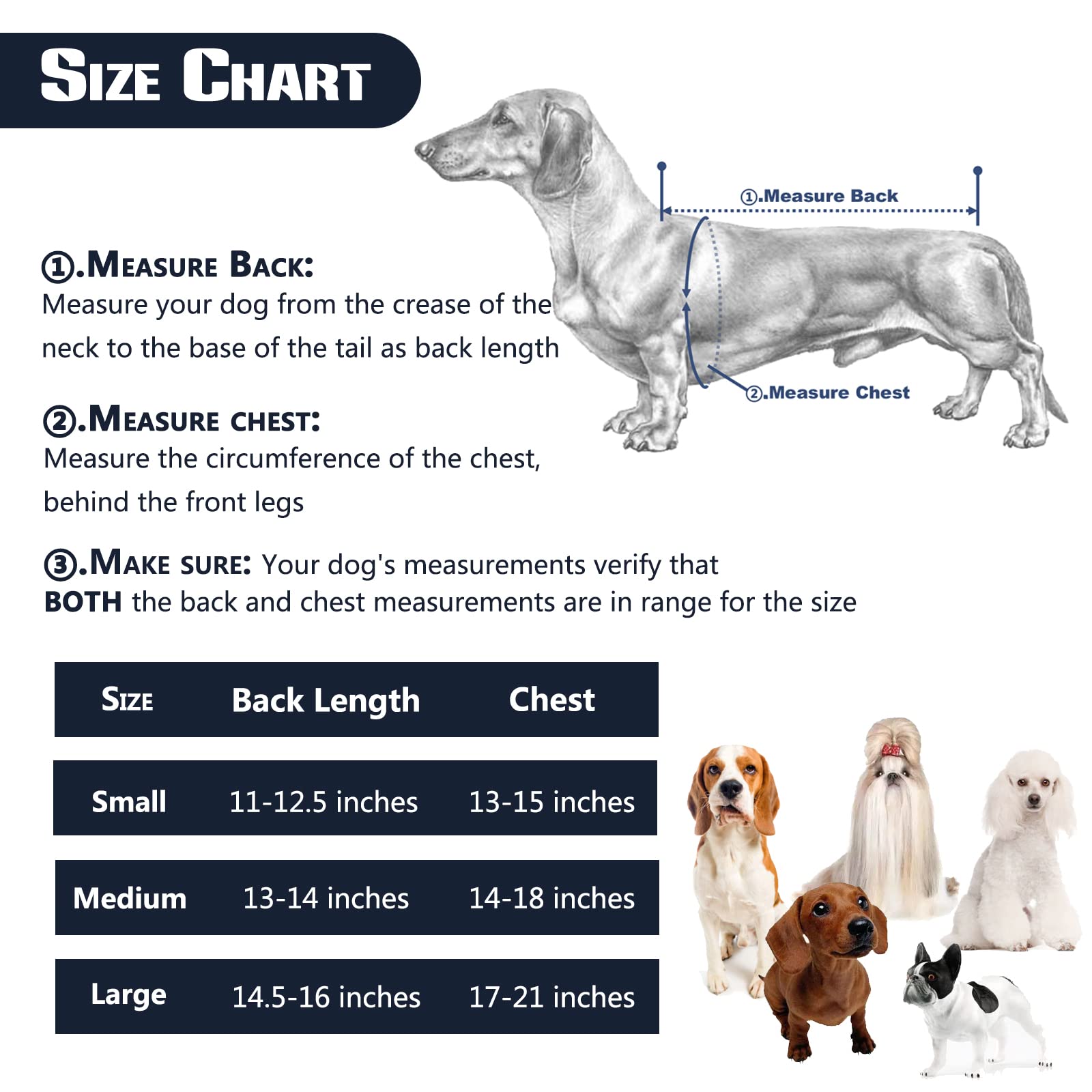 LufeLux Back Brace for Dogs with IVDD, Arthritis, Back Pain, Surgical Recovery and Rehabilitation, Dachshund Back Pain Relief, IVDD Harness(Large)