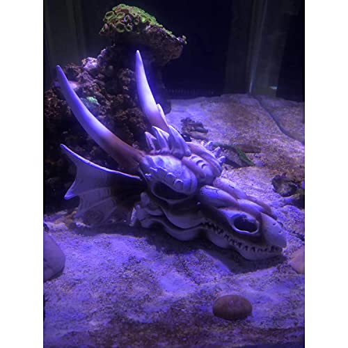 AzjioLi Aquarium and Fish-Tank Decorations Reptile-Hide Terrarium-Décor - Dragon Imitation Skull Model(Medium)
