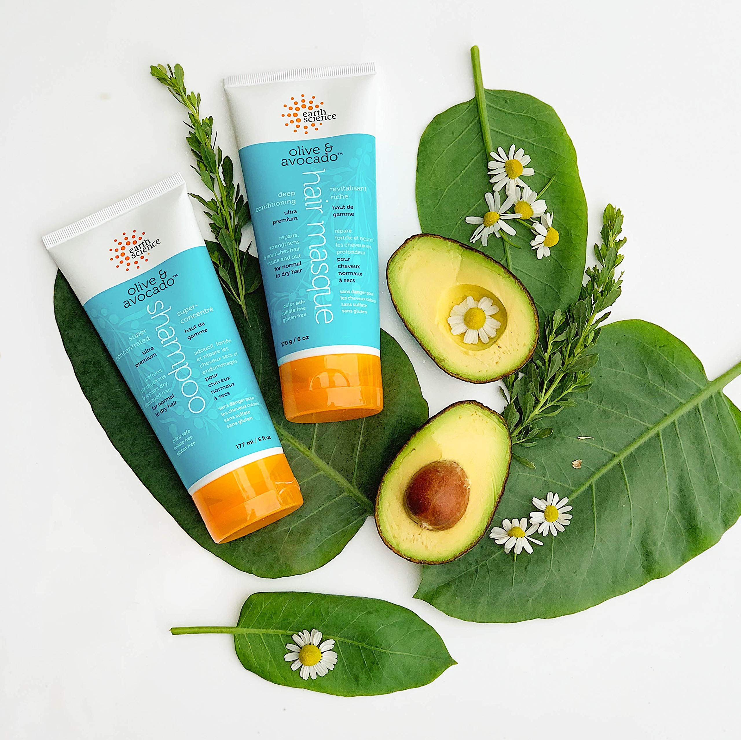 EARTH SCIENCE - Olive & Avocado Oil Shampoo: Super Concentrated for Normal to Dry Hair (4pk, 6 oz.)
