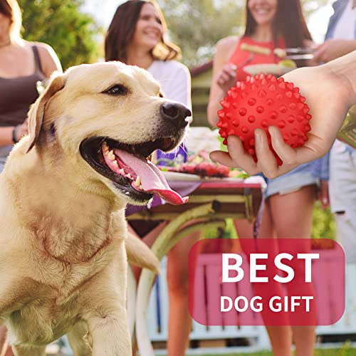 Apasiri ππ©π π«ππππ πππ«π¬π’π¨π§ Squeaky Toys for Large Dogs, Aggressive Chewers, Tough Spiky Ball Durable Floatable Rubber Pet Toys for Medium Breed