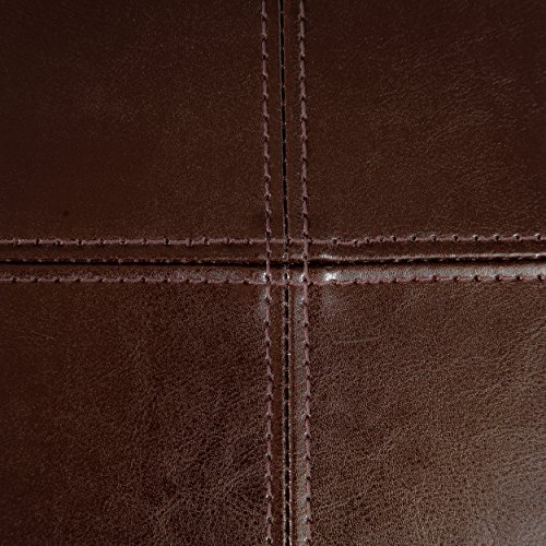 Christopher Knight Home Emilia Chocolate Brown Leather Dining Chairs (Set of 2)