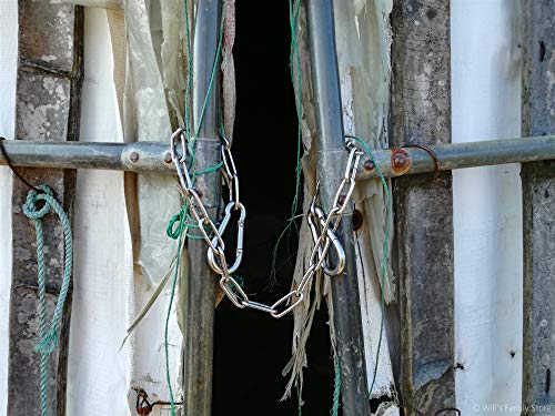 Will's Family Store 20 inch Stainless Steel Barn Chain with Carabiner for Livestock Gate Latch 2 Pack