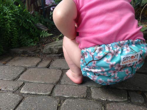 No Prep Organic Cloth Diaper – Smart Bottoms Dream Diaper 2.0 – Washable, Reusable – Natural Fiber Interior (Campfire Trails)