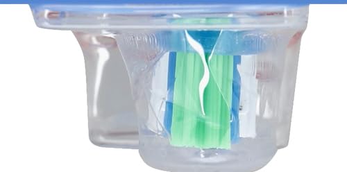 Colgate Max White Full Head Toothbrush, Soft