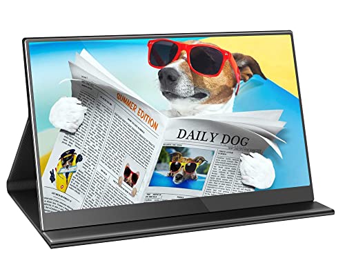 HONGO Portable Monitor Extremely Thin 15.6 Inch FHD 1080P Computer Gaming Dual Monitor USBC Display for Laptop PC Phone Xbox PS4 Switch, Smart Stand Included