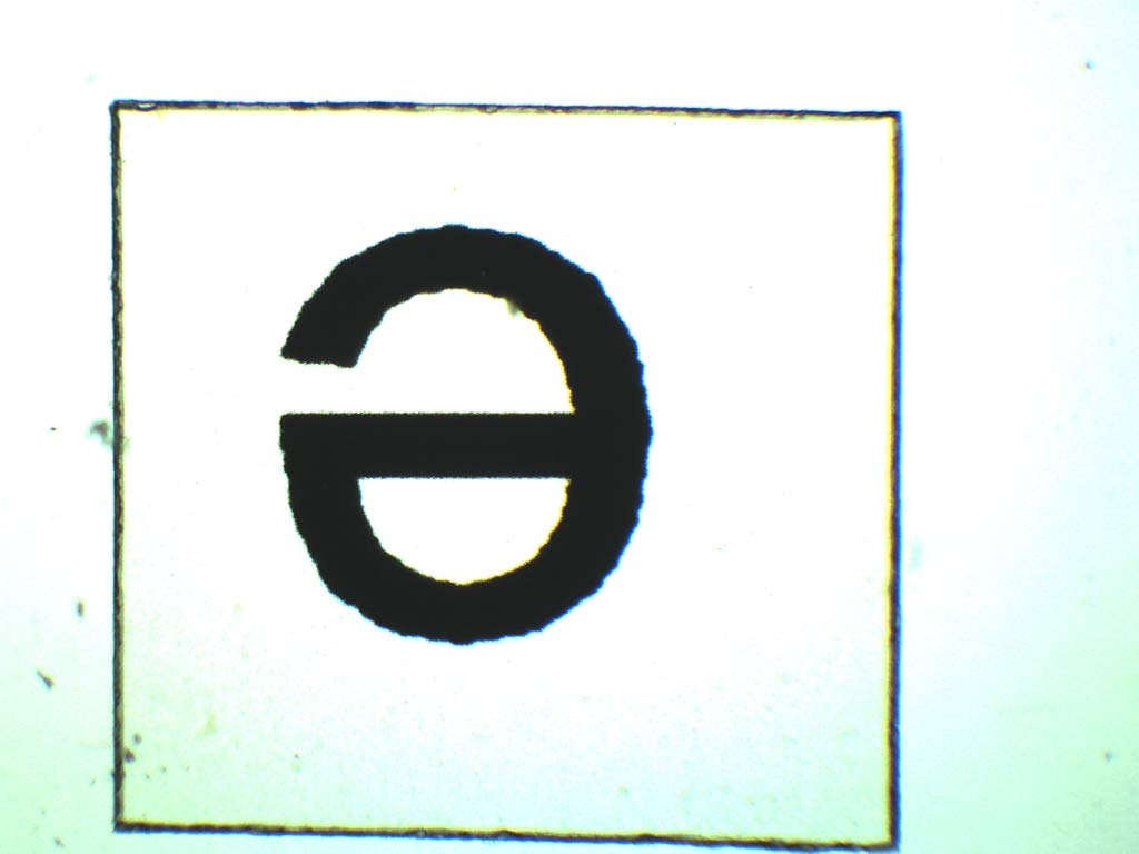 EISCO Wholemount of Letter 'e', Prepared Microscope Slide - 75 x 25mm - Introductory Microscopy