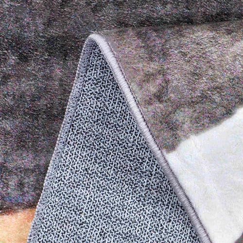 Flame Retardant Fireplace Rugs for Living Room Rugs Machine Washable 4x6 Gray Modern Fluffy Rubber Bedroom Dining Heat Resistant Area Rugs Decor