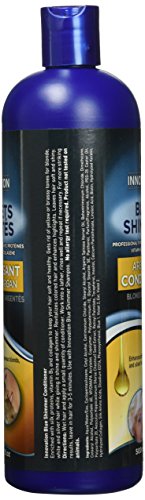 Conditioner with Argan Oil