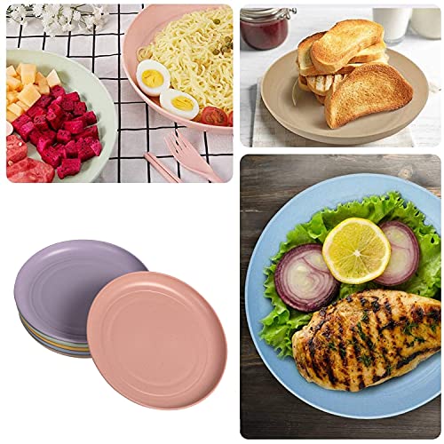 CAMBUY Wheat Straw Plates Lightweight Unbreakable Dinner Dishes Plates Set Dishwasher & Microwave Safe (Small 6 Pack 5.9')