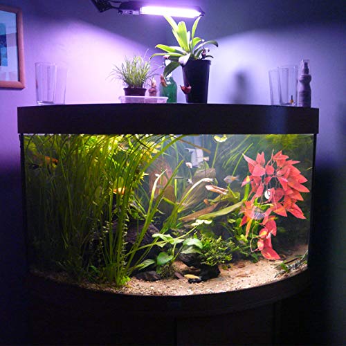 POPETPOP Aquarium Artificial Plant Fake Aquatic Plants Suction Cup Rattan Ornament for Fish Tank Landscape Decoration Red