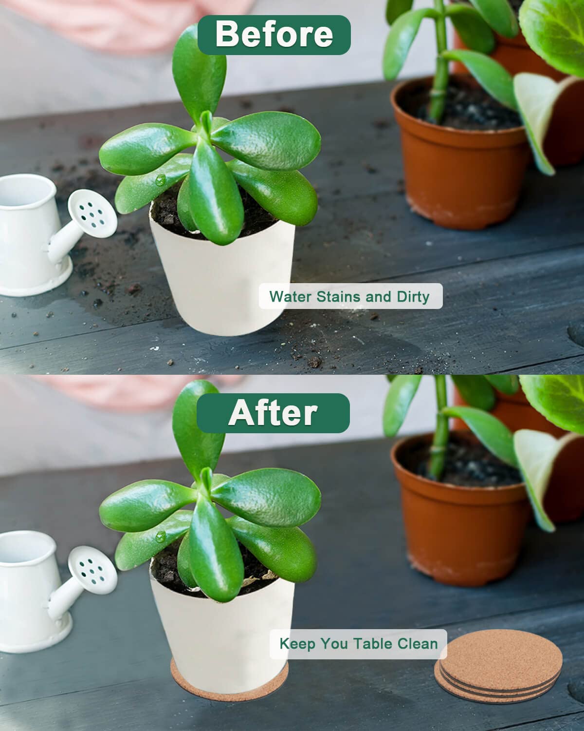 6 Piece Cork Plant Mats - Round Cork Coasters 6 inch, Absorbent Plant Cork Mat Saucer for Pots, DIY Cork Pads