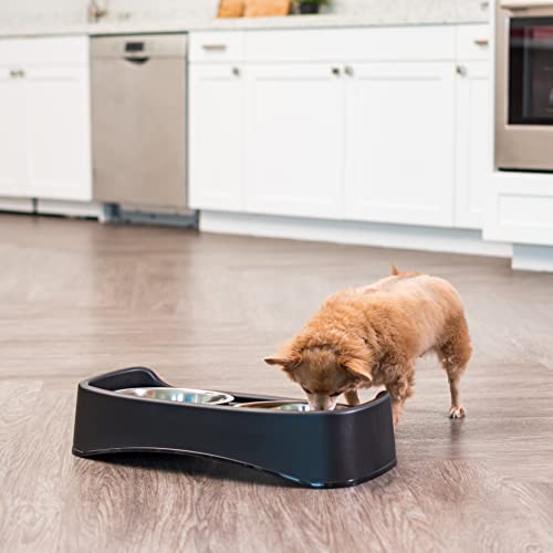 IRIS USA Large Elevated Pet Feeder with Attachable Legs and 2 Stainless Steel Bowls, For Small to Large Dogs Cats with 2 Quart Bowls and 12"H Legs Raised Pet Feeding Station, Black